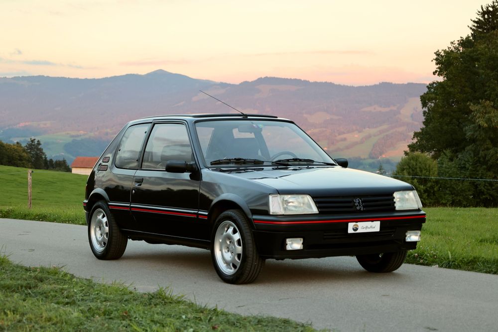 Peugeot 205 GTI 1.9L 1992 | CarYouNeed.ch