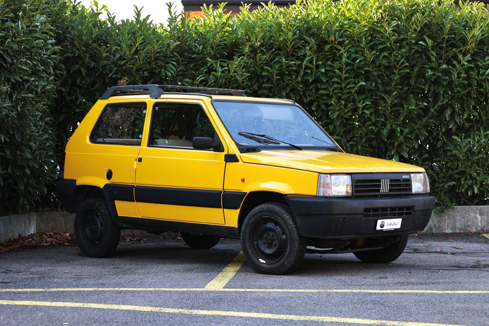 Fiat Panda 4x4 1994 | CarYouNeed.ch